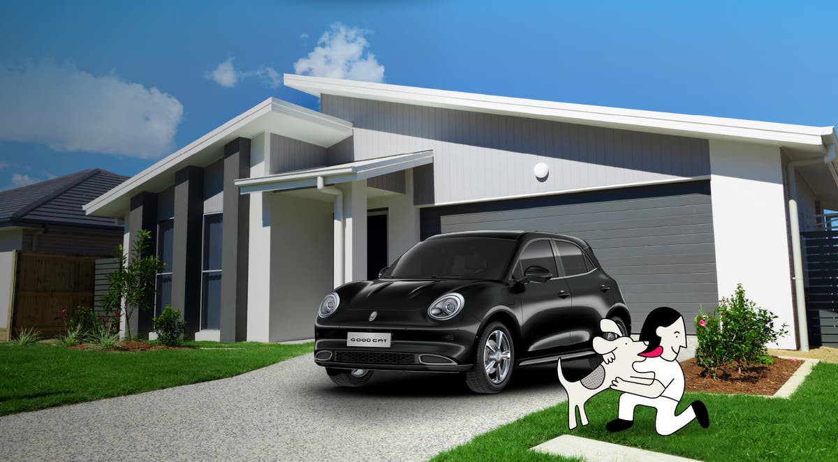 Learn more about Oly | Oly is here to help